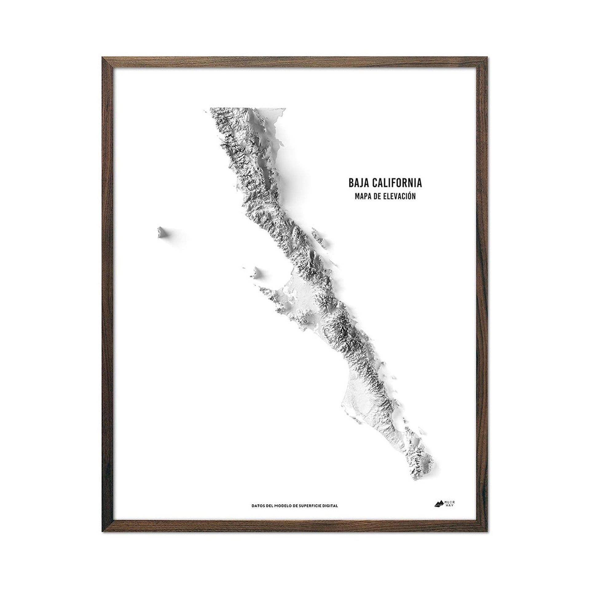 Baja California Elevation Map | Uncrate Supply