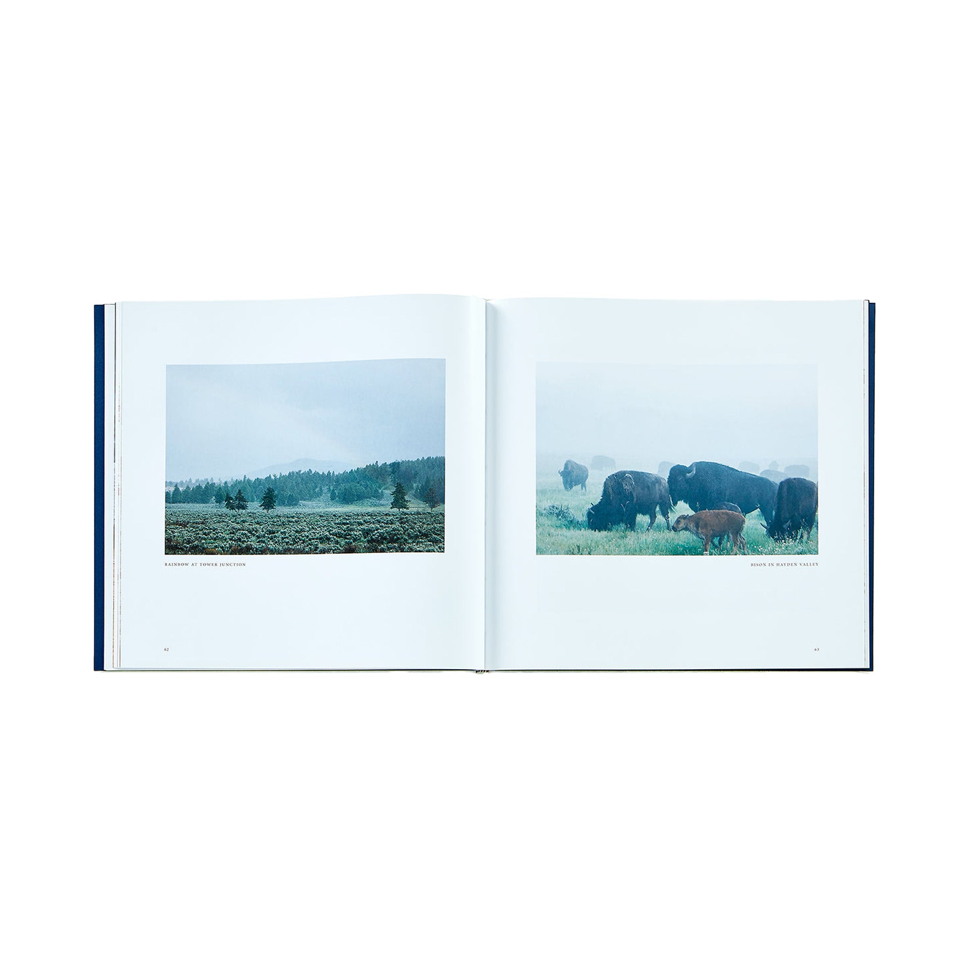 Yellowstone: A Land of Wild and Wonder | Uncrate Supply