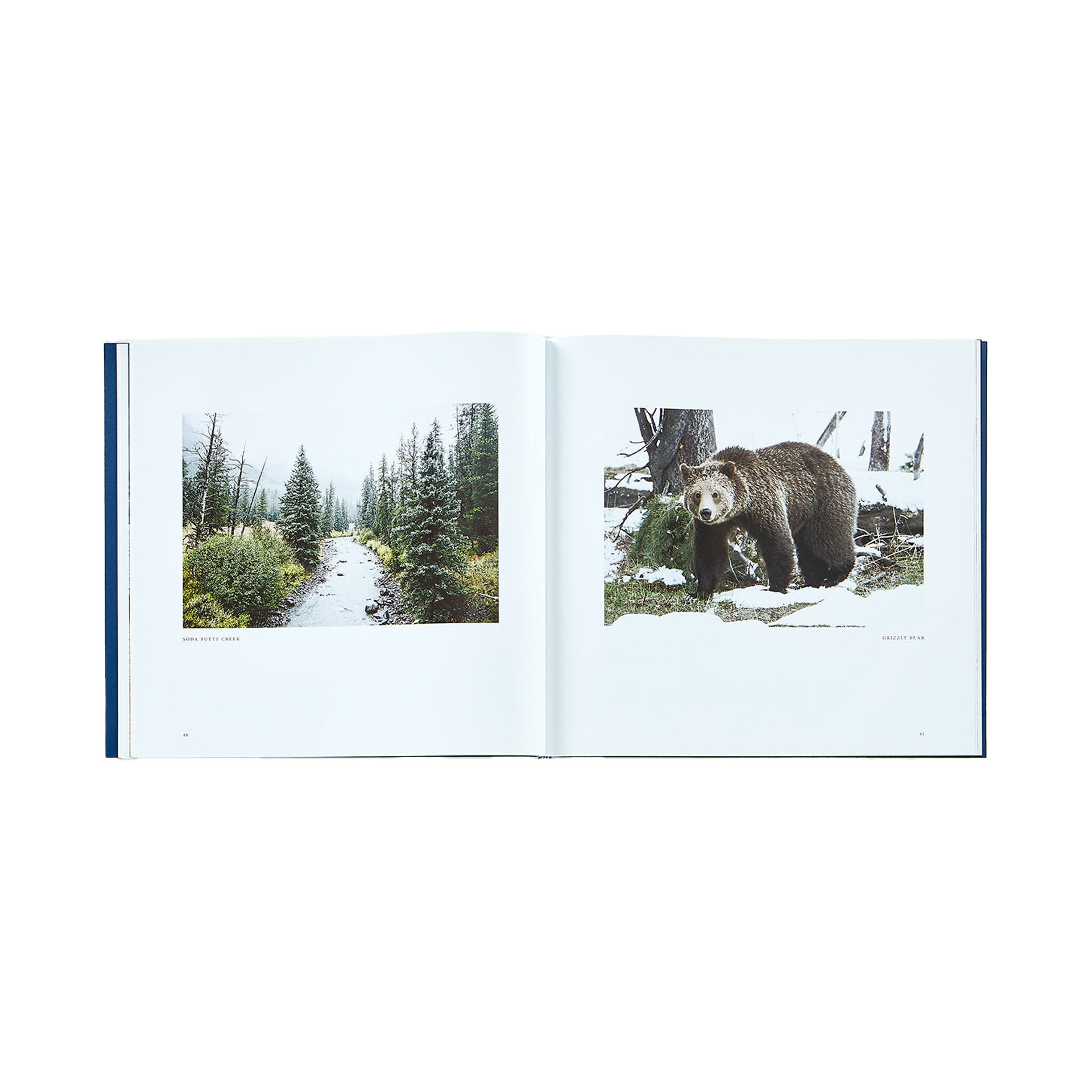 Yellowstone: A Land of Wild and Wonder | Uncrate Supply